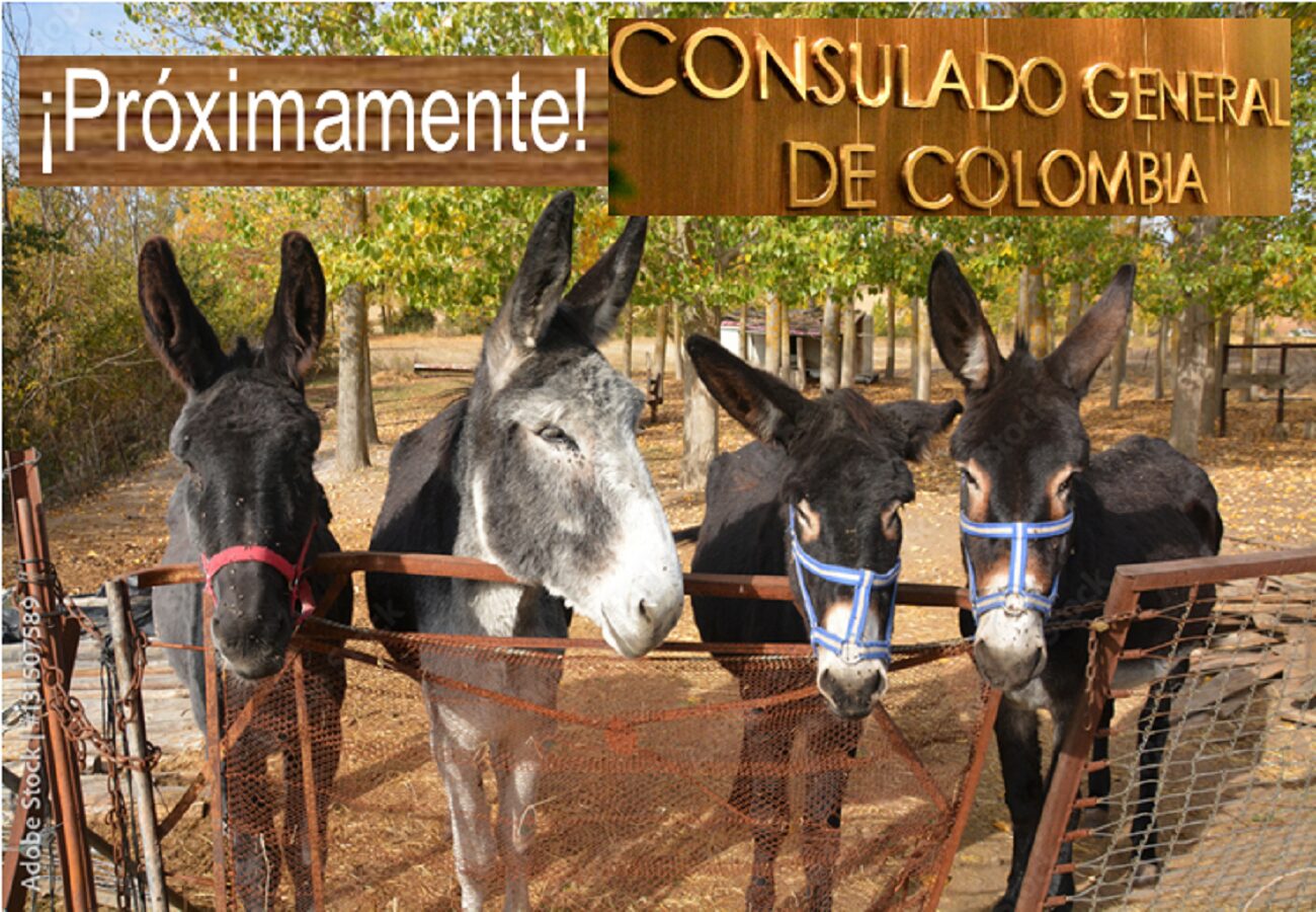 Al paso que va Colombia, cualquier "burro" podrá ser Cónsul o Embajador ...